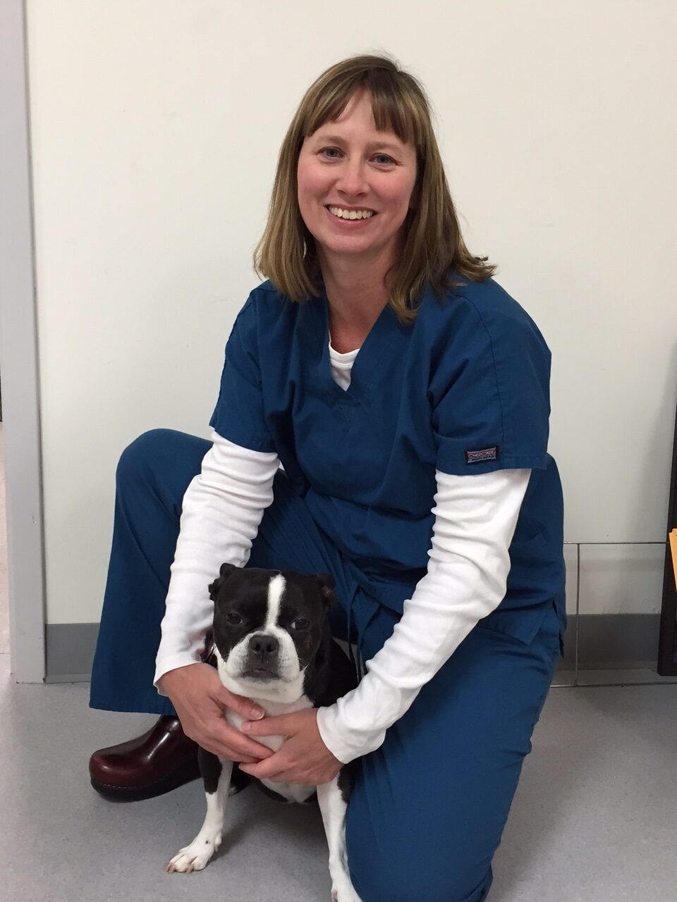 Dr. Tamara Padgelek, DVM of Pgh Pets at Home Mobile Veterinary Service ...